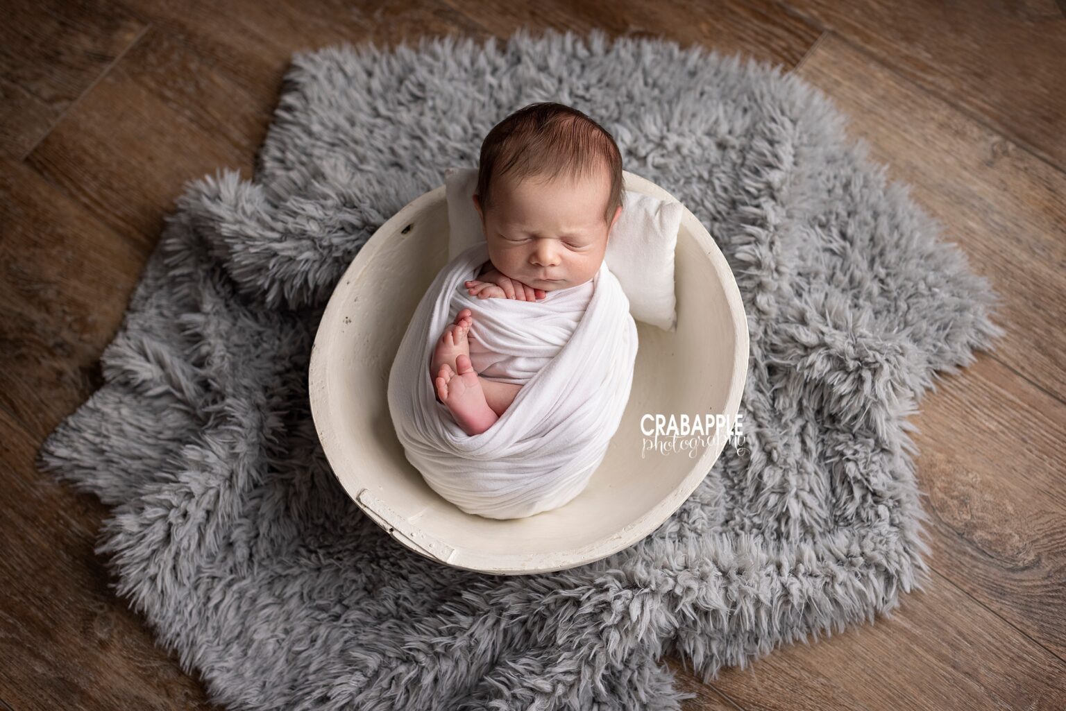 Boston Newborn Baby Photography • Crabapple Photography