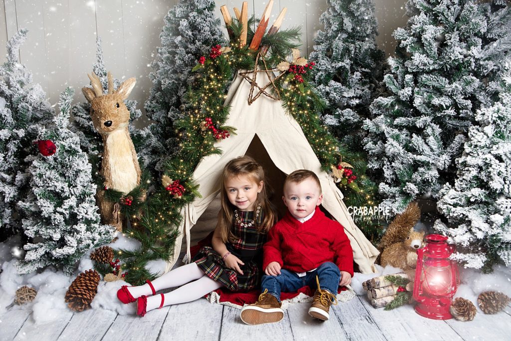 Holiday Portrait Photographer in Massachusetts · Crabapple Photography