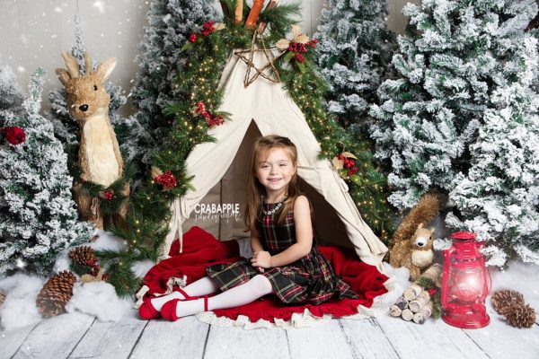 Holiday Portrait Photographer in Massachusetts · Crabapple Photography