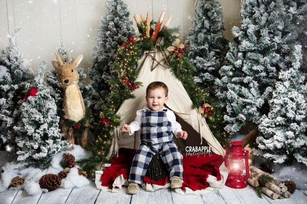Holiday Portrait Photographer in Massachusetts · Crabapple Photography