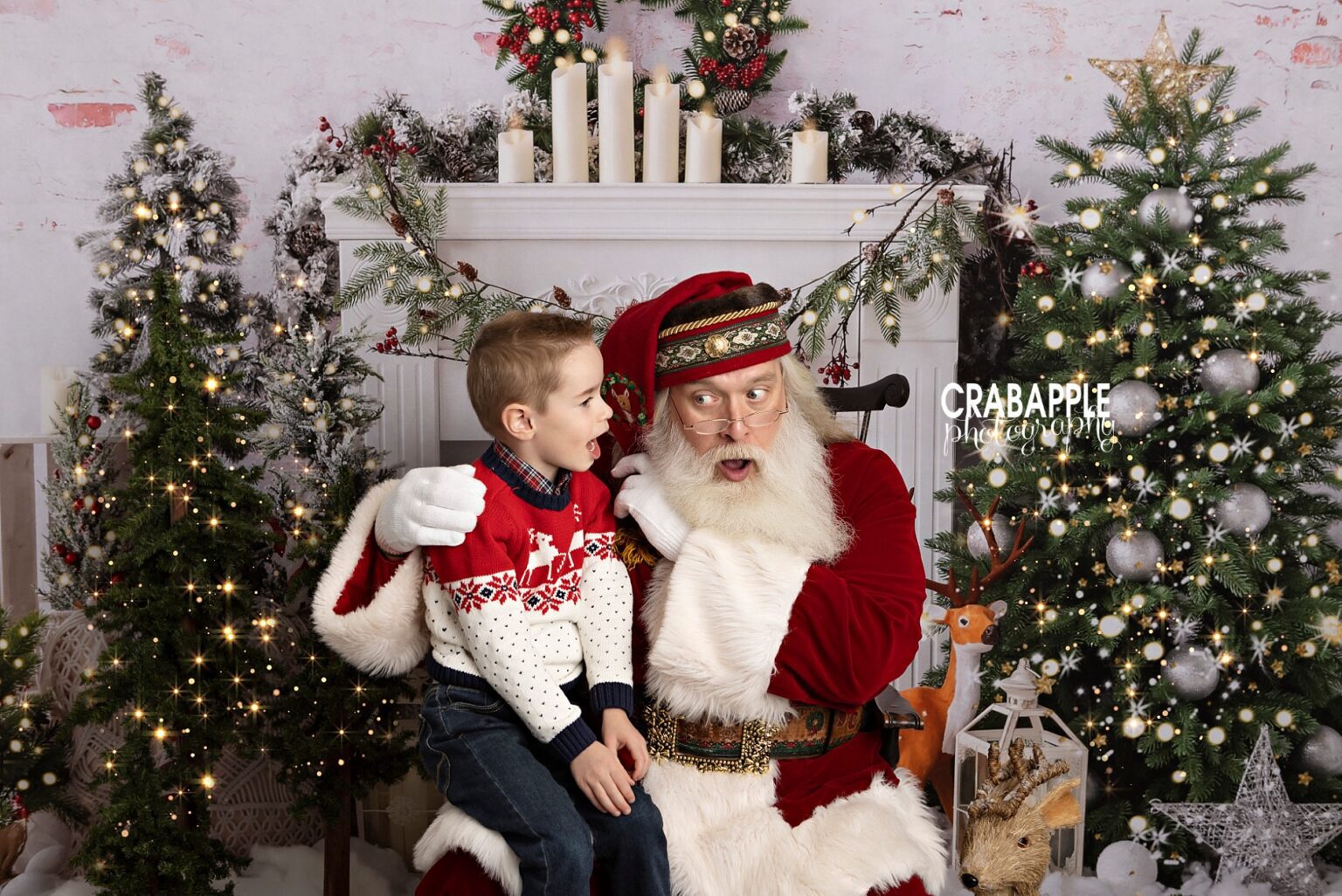 Santa Claus Mini Session :: What to Expect · Crabapple Photography
