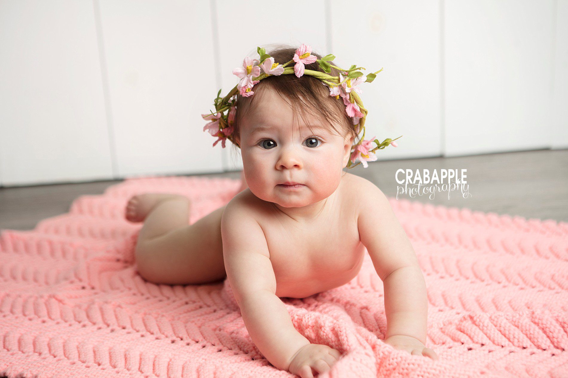 6 Month Baby Photos Melrose MA · Crabapple Photography