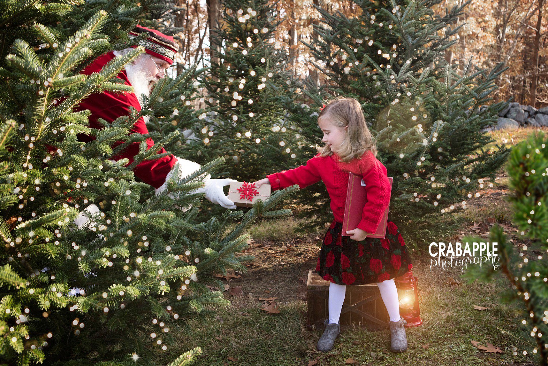 Outdoor Santa Claus Photos · Crabapple Photography