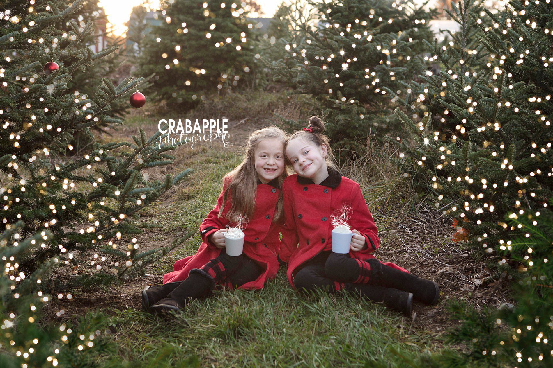Outdoor Santa Claus Photos · Crabapple Photography