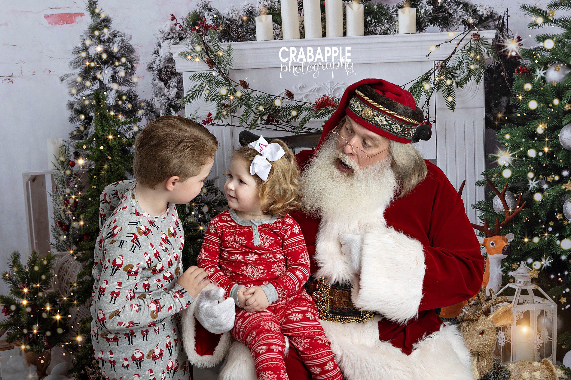 Best Photos With Santa Claus Crabapple Photography