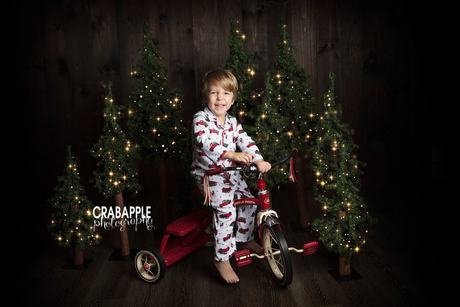 Festive Family Photos · Crabapple Photography