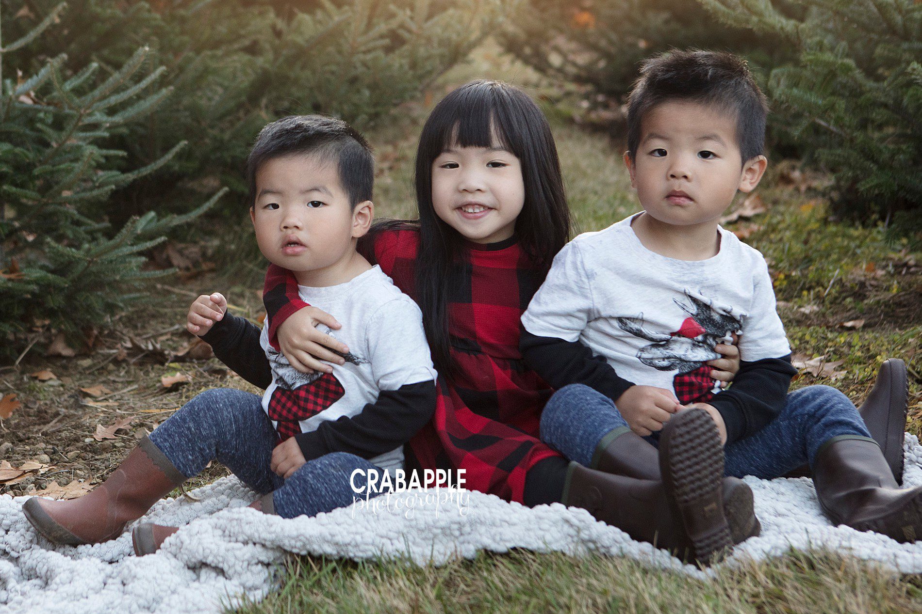 Tree Farm Christmas Photos · Crabapple Photography