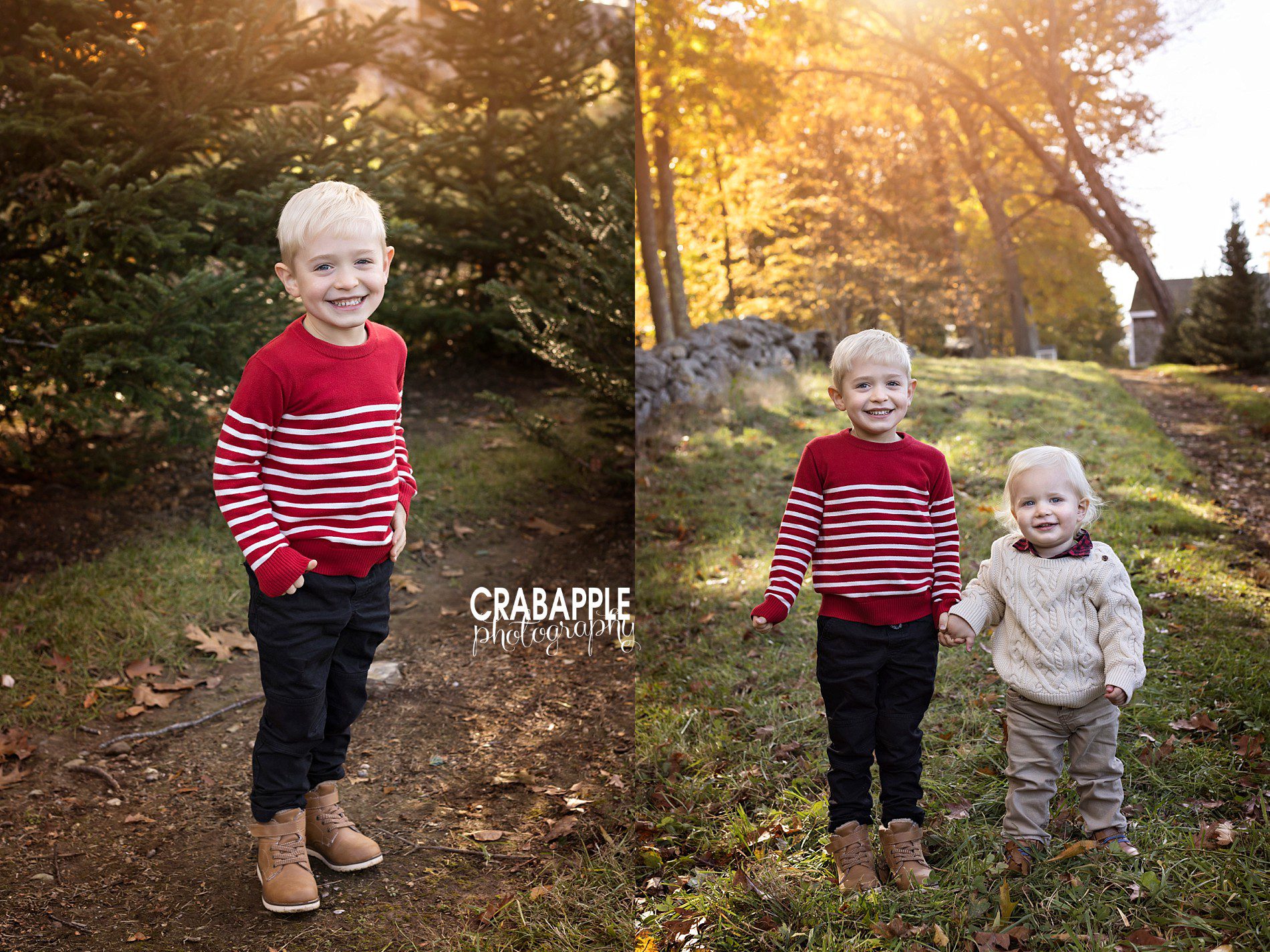 Tree Farm Mini Sessions :: Family Photos · Crabapple Photography