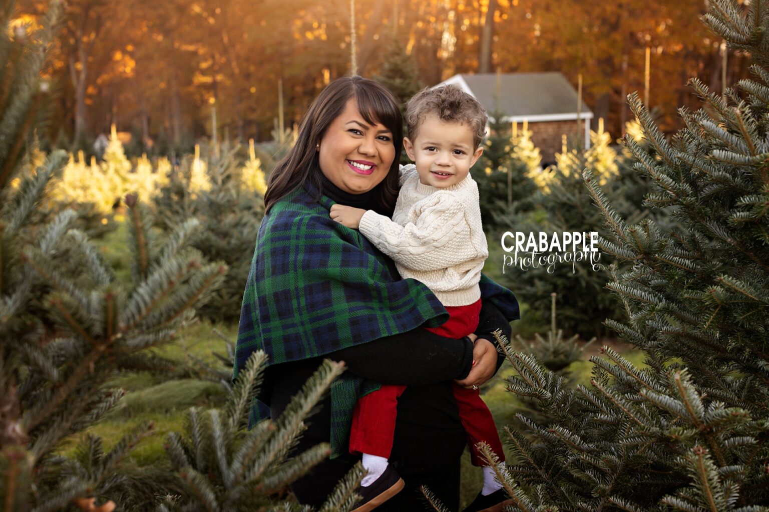 Tree Farm Mini Sessions :: Family Photos · Crabapple Photography