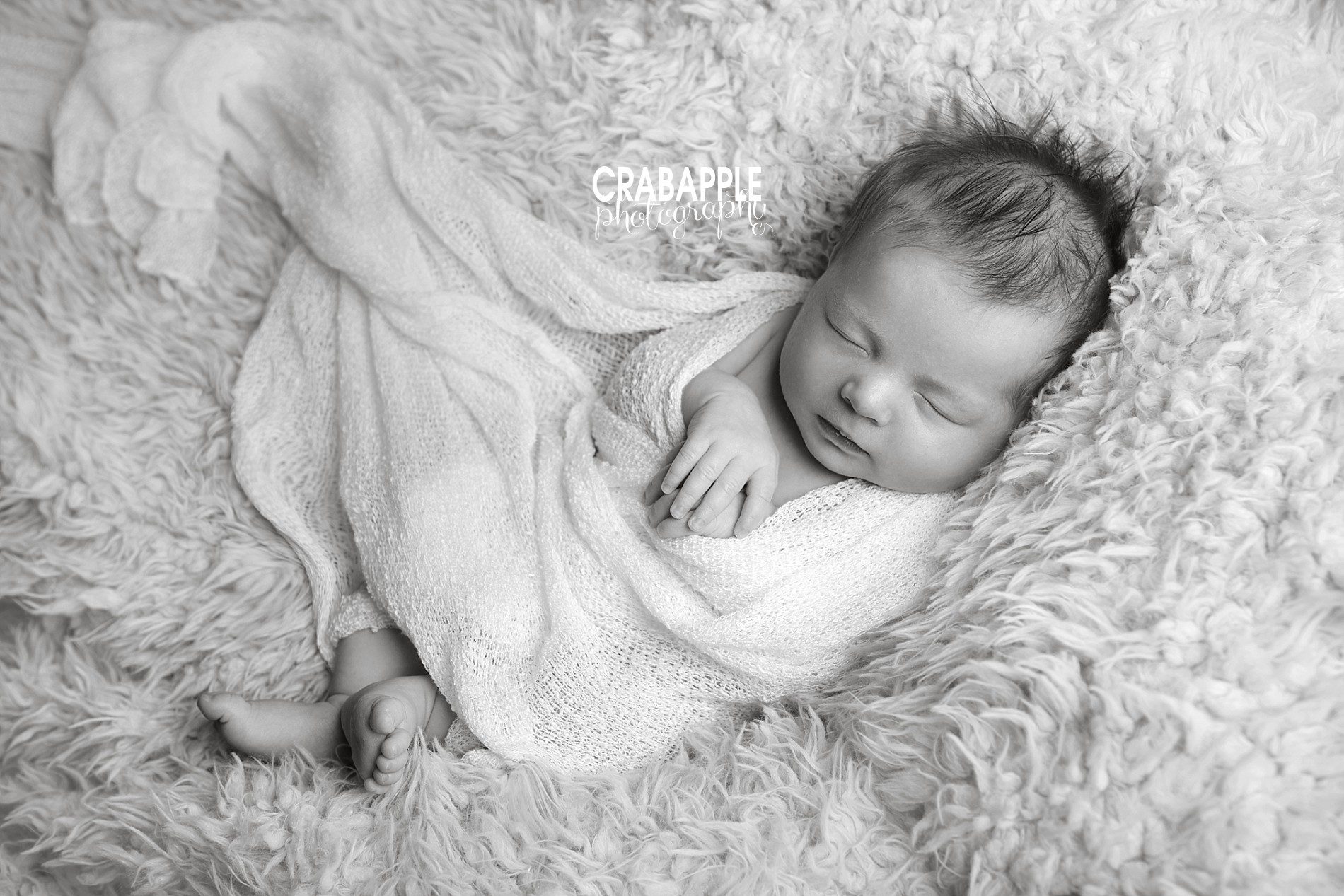 5 Week Baby Photos :: Miss G · Crabapple Photography