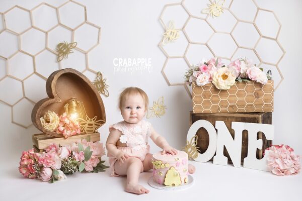 Bumble Bee Cake Smash Photos · Crabapple Photography