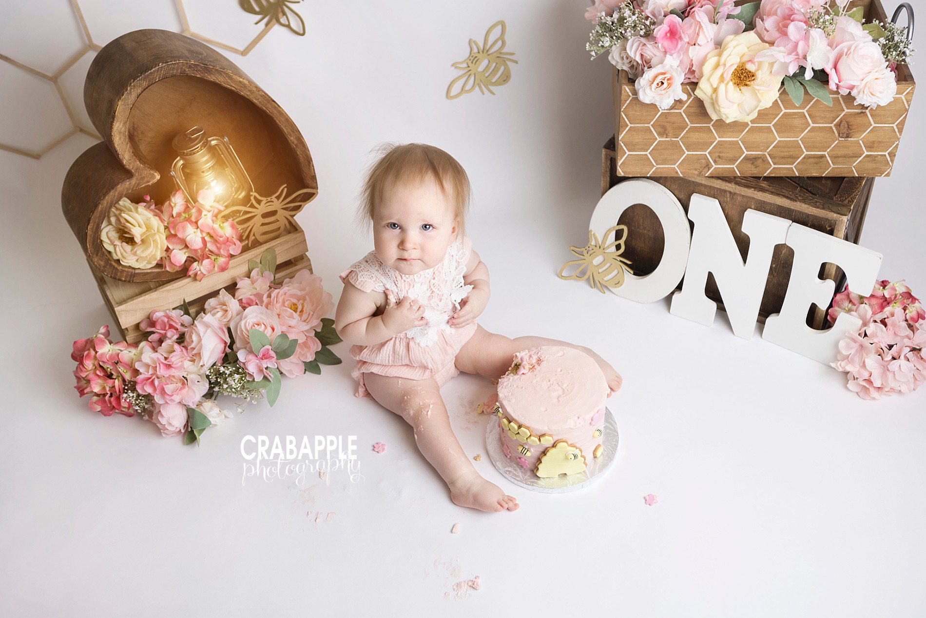 Bumble Bee Cake Smash Photos · Crabapple Photography