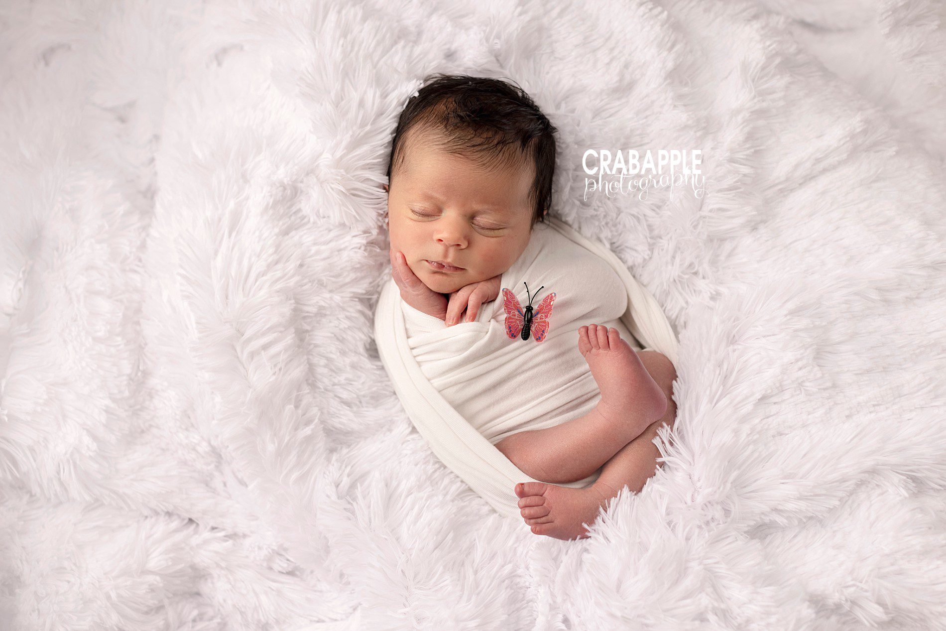 Newborn Photoshoot for Girls · Crabapple Photography