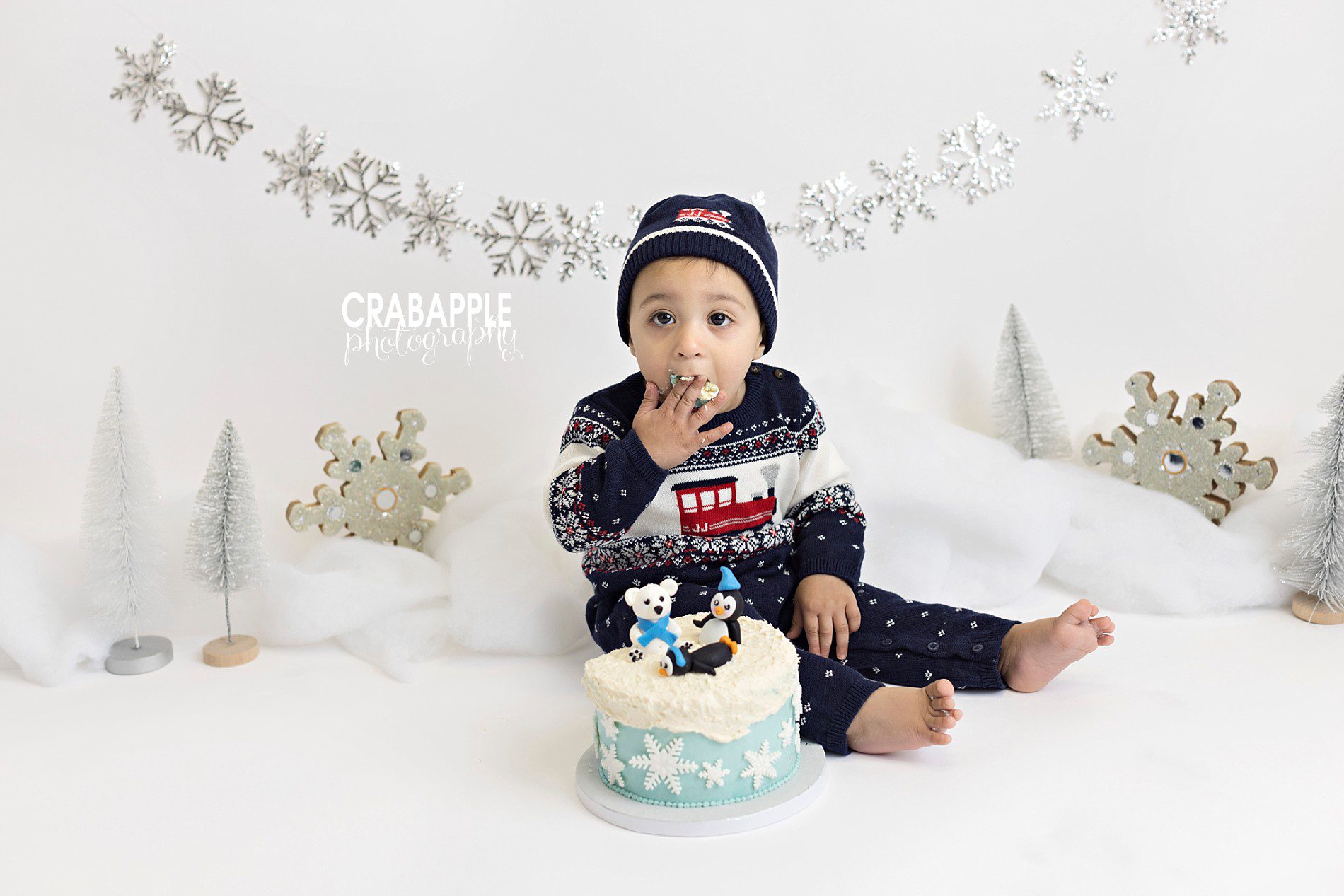 Snow Themed Cake Smash · Crabapple Photography