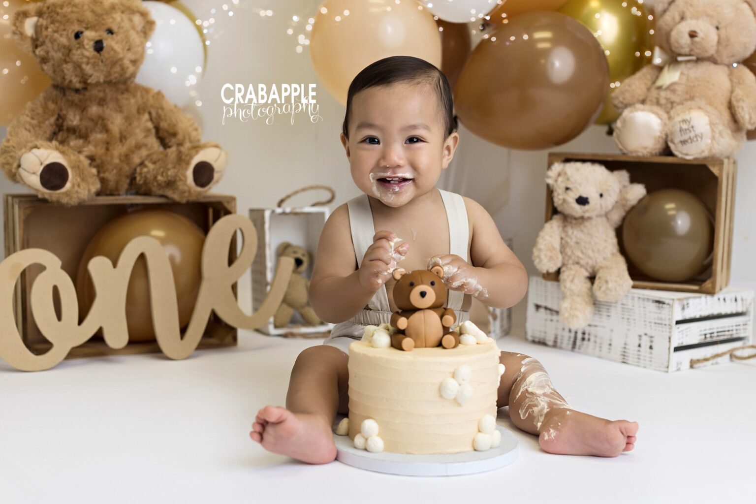 Teddy Bear Cake Smash Photos · Crabapple Photography