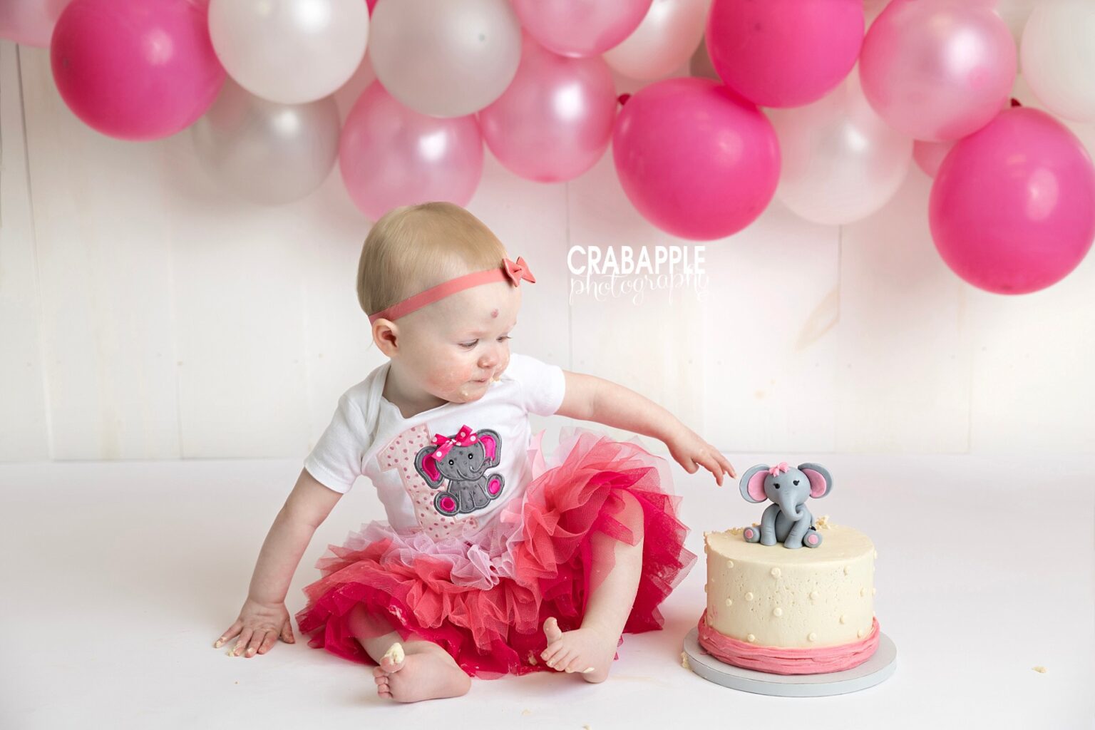 Elephant Cake Smash Photos :: Miss E · Crabapple Photography