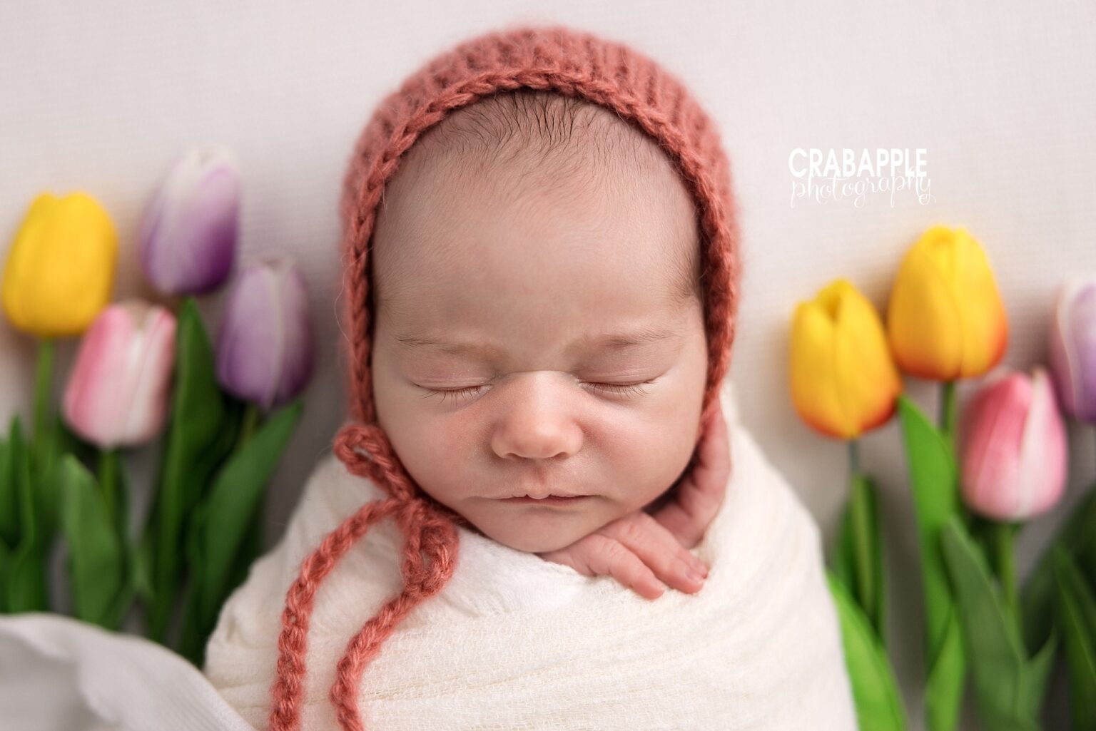 Tiny Expressions: Baby Milestone Headshots You’ll Love · Crabapple ...